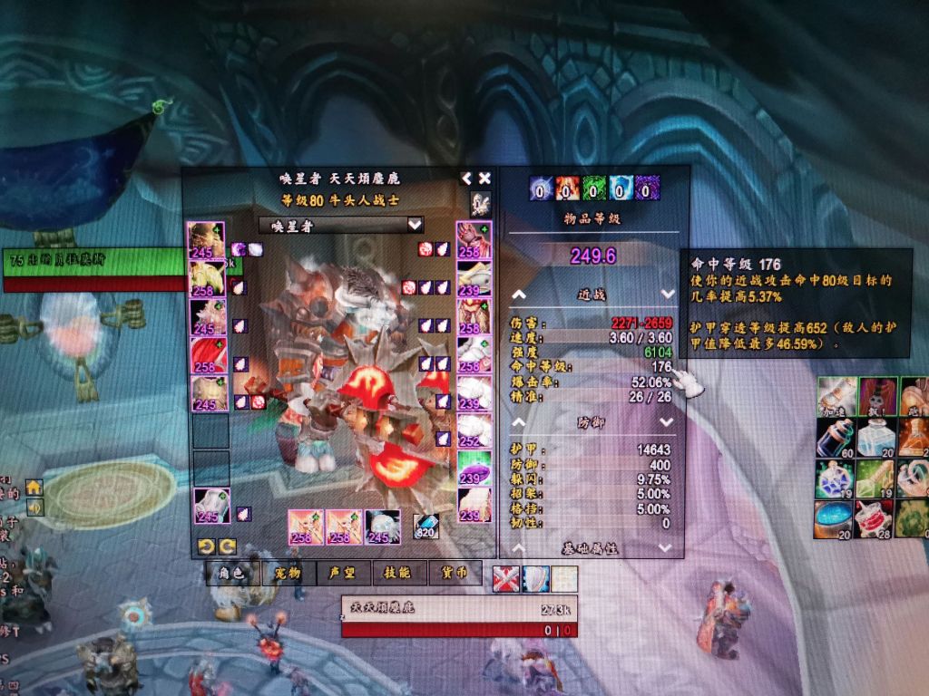 求教狂暴战TOC老一细节 178