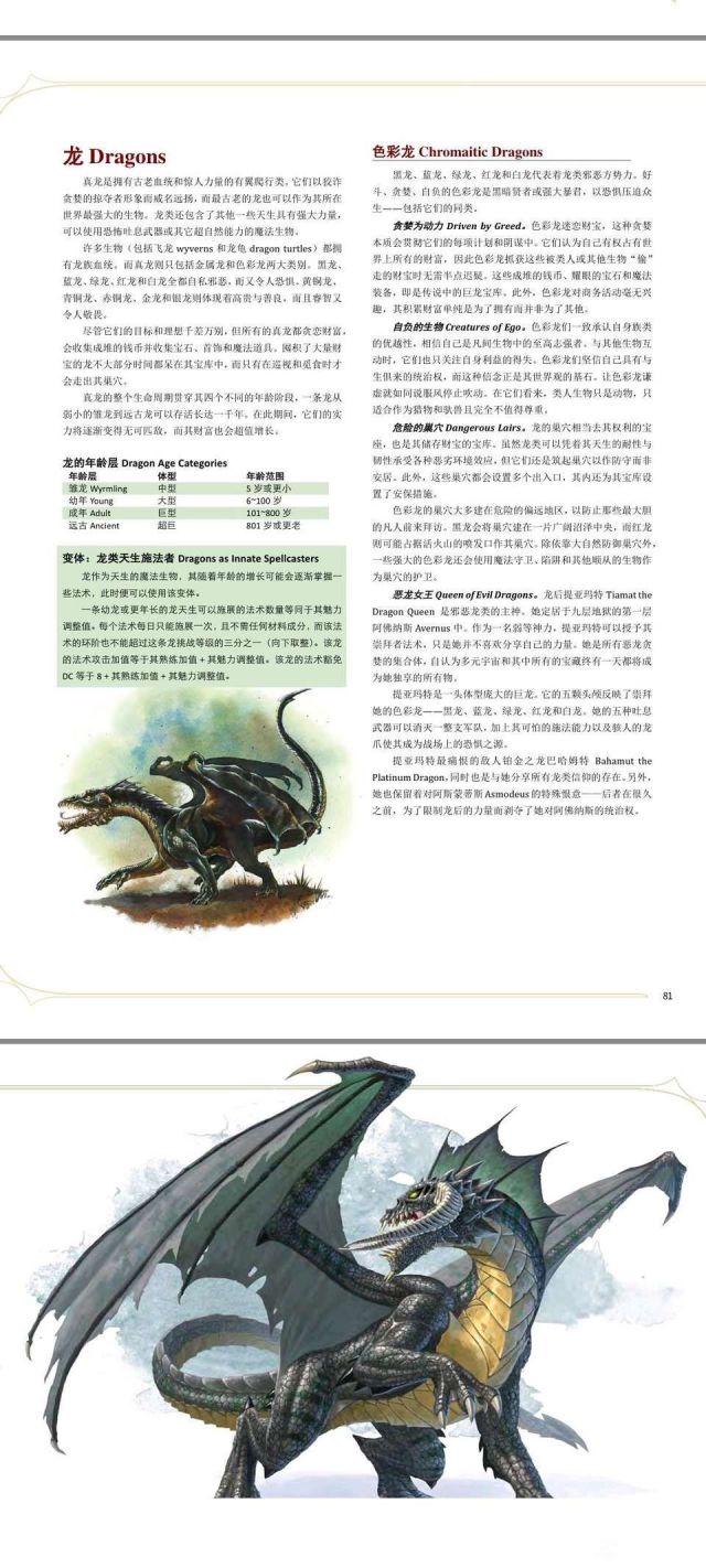 看书院讨论dnd高级法师打高级战士的时候，感觉很多人都忽略了专注位这个5e大砍法师的设定呀 NGA玩家社区