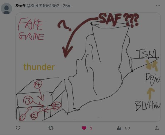 [主题赛事]关于SAF不打TSM，网友画的图给我整笑了 178