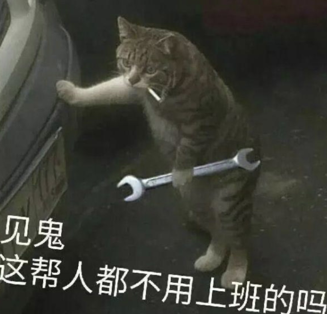 [朱/紫] 按+可手动更新DLC 急急急 NGA玩家社区