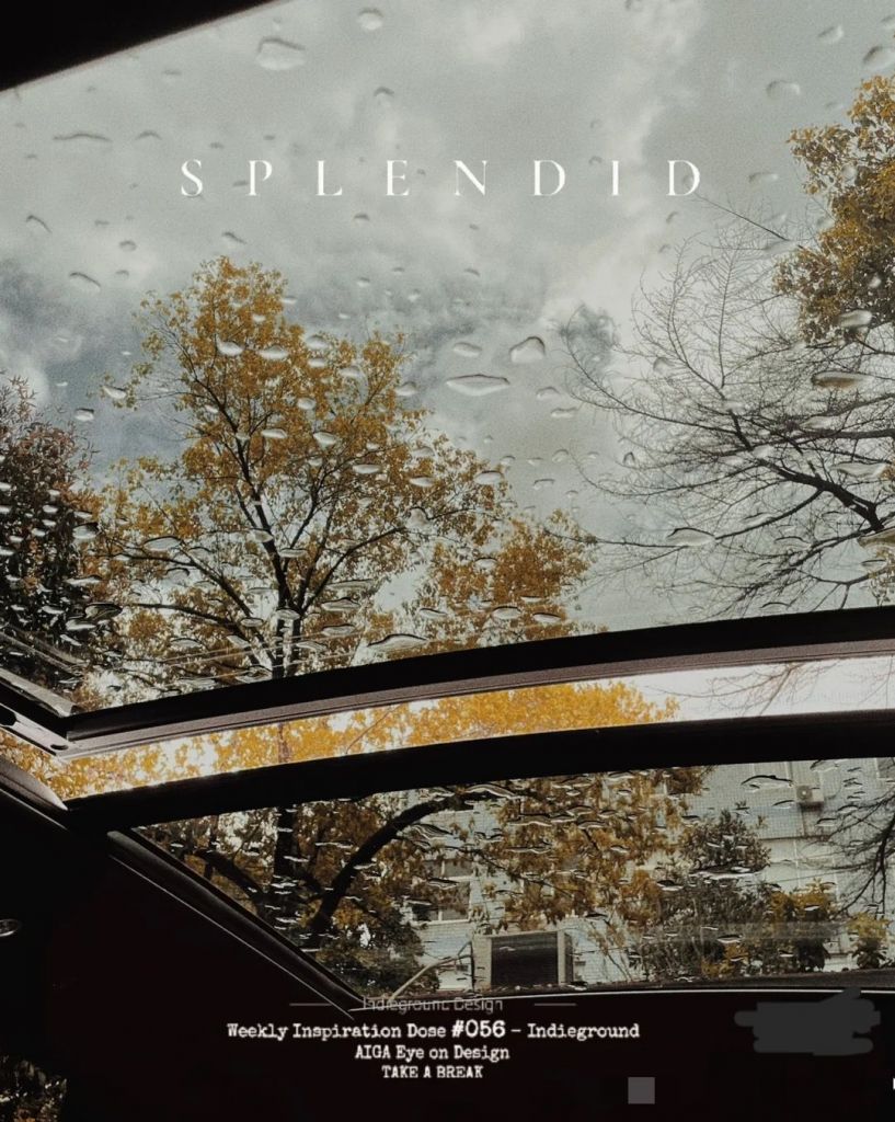 入坑约摸两个月，看来看去最终提了宋plus dmi冠军版 NGA玩家社区