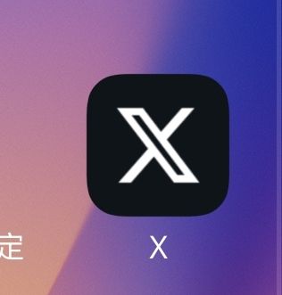 现在你们叫twitter是叫推特，还是X？ 178