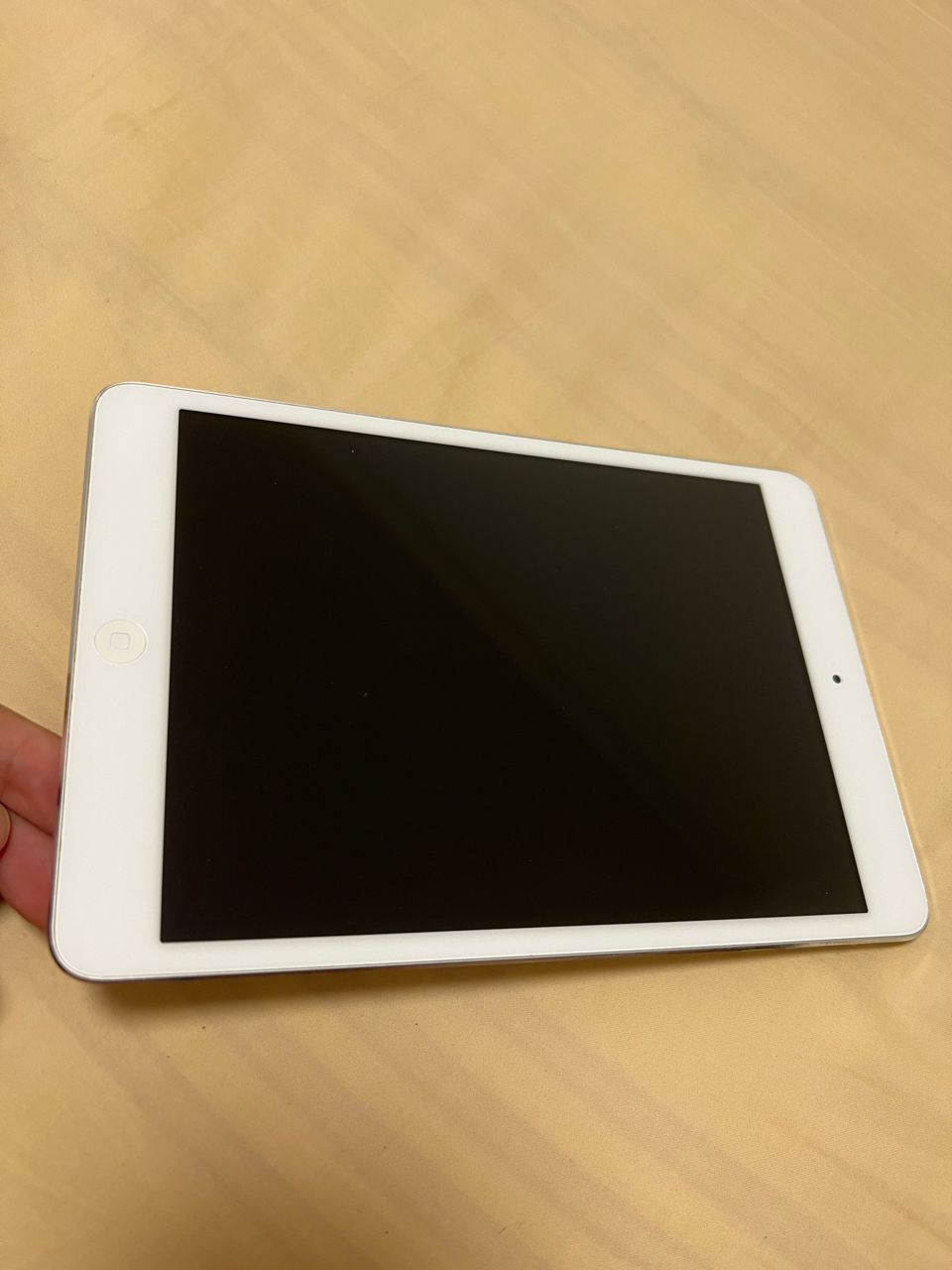 收一个ipad mini，2-5代皆可 NGA玩家社区