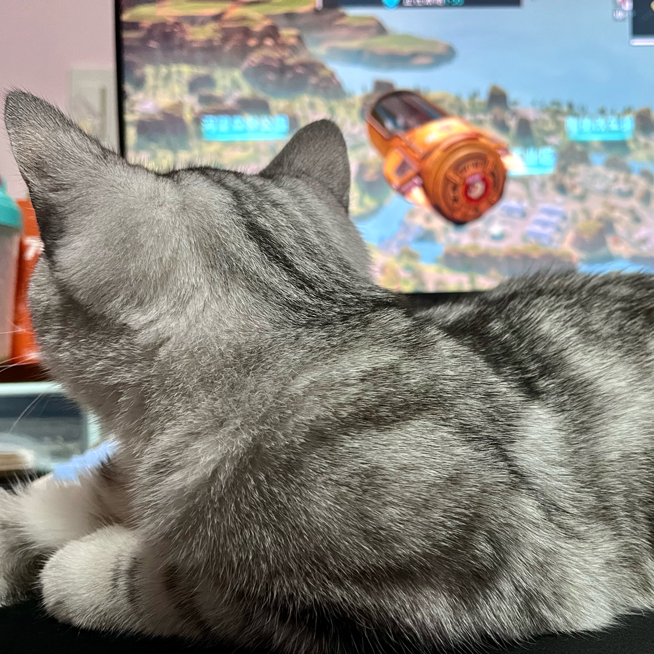 所以，现在Win11比win10更好用了吗 ？(顺路晒一下我的猫师傅) NGA玩家社区