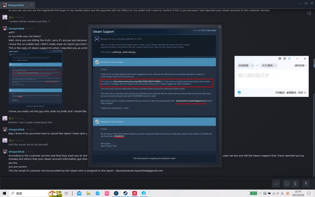 [Steam]兄弟们救一下，这是骗人的吗 178