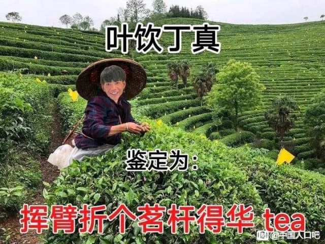 [本赛区赛事] 369 XUN GALA Missing 再加上LNG的教练组 能不能夺冠？ NGA玩家社区