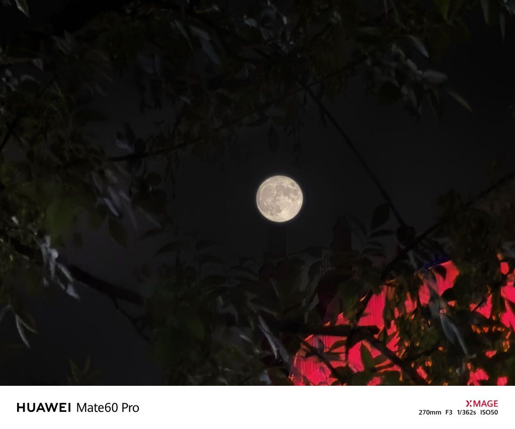 mate60的拍照比我预想的要好的多啊 178