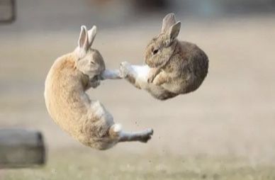 求助贴(更换板u) NGA玩家社区