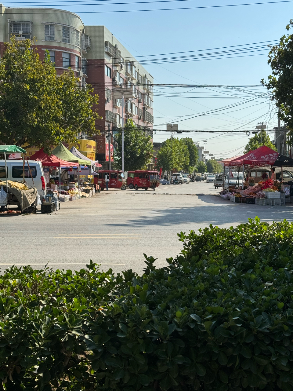 是我预期太高了吗，为什么感觉15pm拍照很一般啊 NGA玩家社区