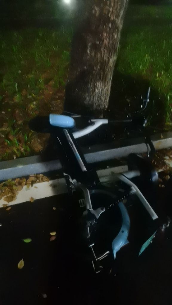 [树洞]大学咸鱼日常 NGA玩家社区