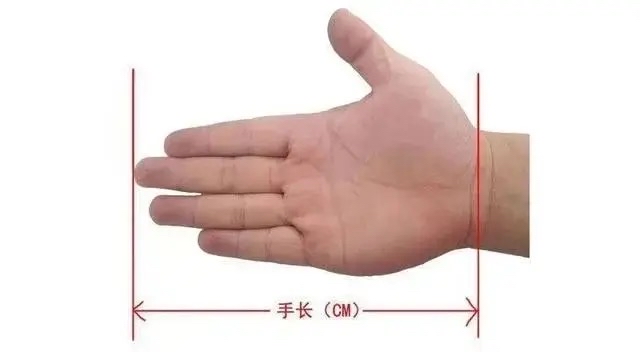 偏小、轻的鼠标是不是指明 GPW了？ NGA玩家社区