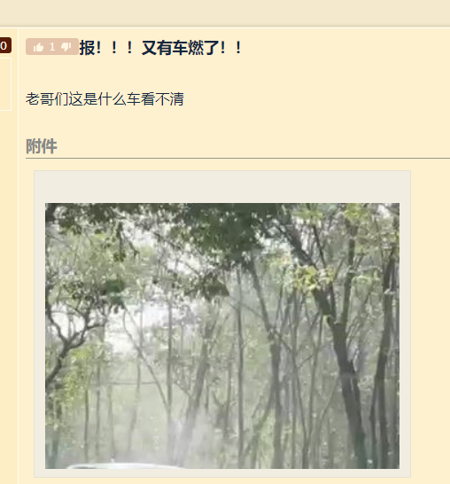 极氪官方回应009冒烟 NGA玩家社区