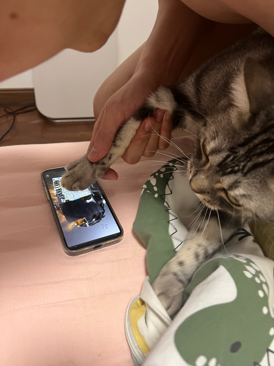 [闲谈交流]我家猫帮我抽到了vvan[2P] NGA玩家社区