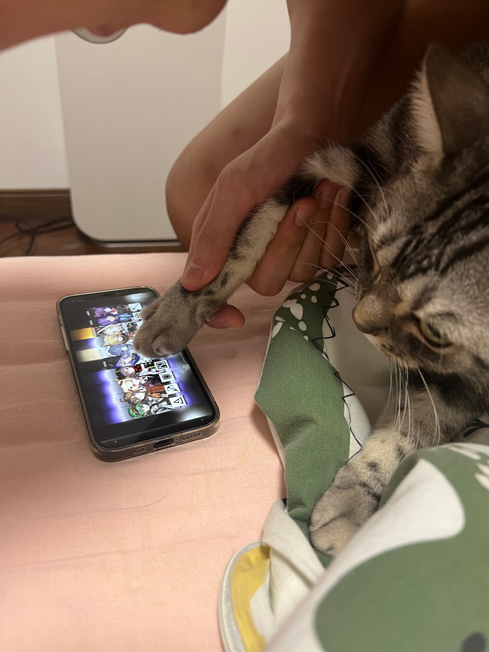 [闲谈交流]我家猫帮我抽到了vvan[2P] NGA玩家社区