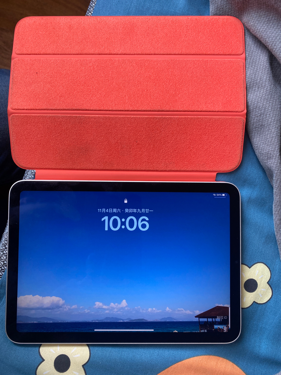 出个ipadmini6 配件包装齐全 电池100% 送一个原装磁吸套 明盘2450到付 NGA玩家社区