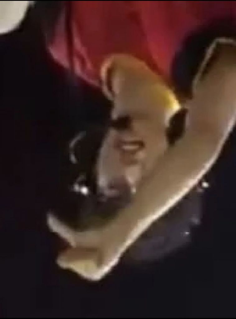 [搬运]来自guxue的谦逊 NGA玩家社区