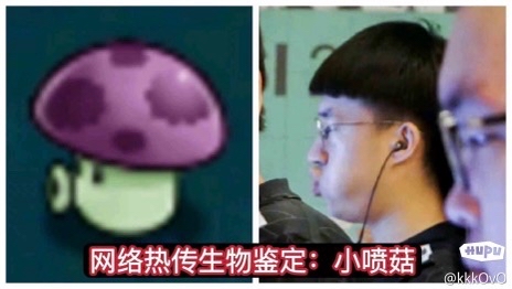 [联盟赛事]Wbg打blg植物大战僵尸梗已经二创出花了 NGA玩家社区