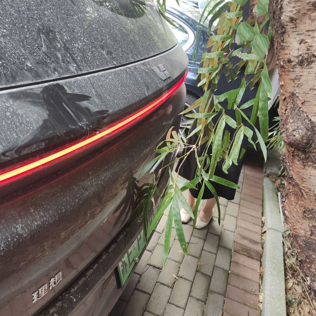 理想L8提车一个月，一血已交。。 NGA玩家社区