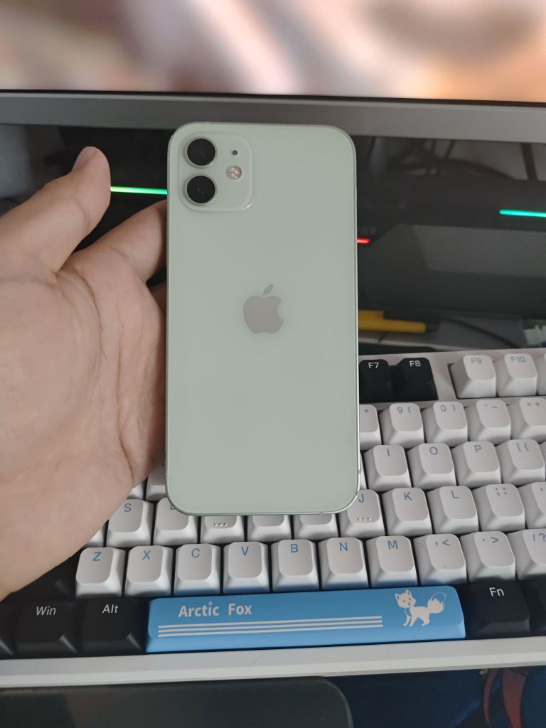 出俩iphone12 128g 已经出完了。 NGA玩家社区