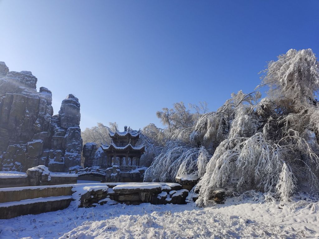 今早的雾凇超赞 NGA玩家社区
