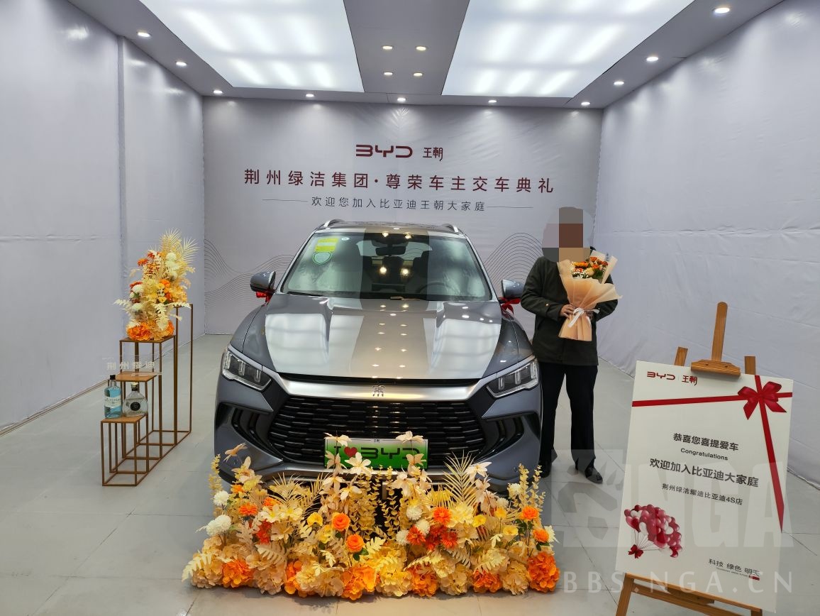 [车版专栏-提车作业] 3yc 宋pro简易提车 防一血 178