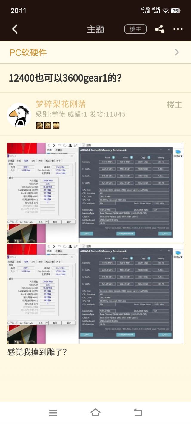 请教，12400f上d4-3600mhz内存，HWinfo看sa电压都1.022v了，但实际只能xmp到3467，3600就蓝屏，是咋回事？ NGA玩家社区