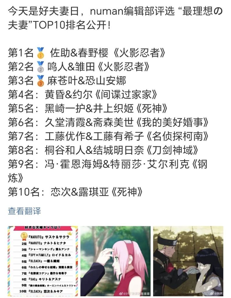 “动漫中最'理想'の夫妻”TOP10，排名大公开 NGA玩家社区