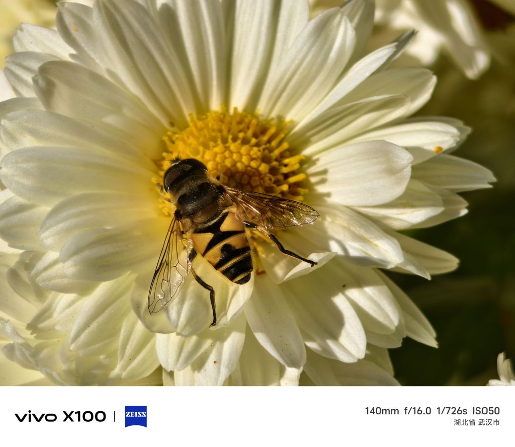 X100水一帖子，关于长焦，屏幕，跑分和续航。 NGA玩家社区