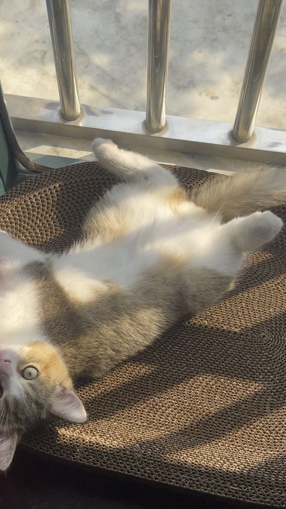 5%buff大概有多少提升啊？ NGA玩家社区