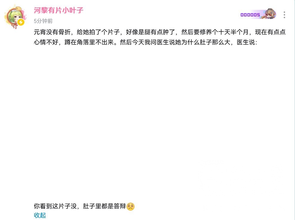 [专楼] [iStella所属]卡缇娅宣小纸与NB好友综合讨论漏！14号8点王女小纸新衣回！ NGA玩家社区