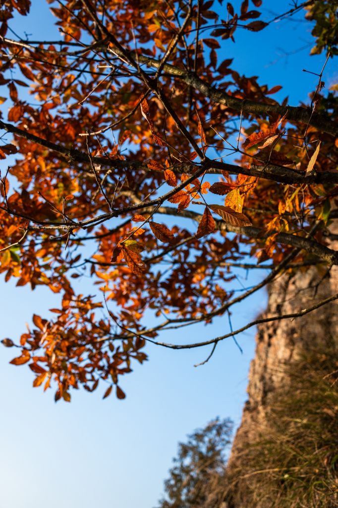 晒晒秋景，a7c2+28200 顺便谈谈于2070的取舍 NGA玩家社区