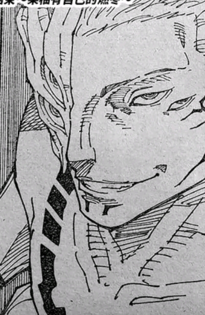 jjxx好像不喜欢画宿傩真身的左脸，基本能不画就不画 NGA玩家社区