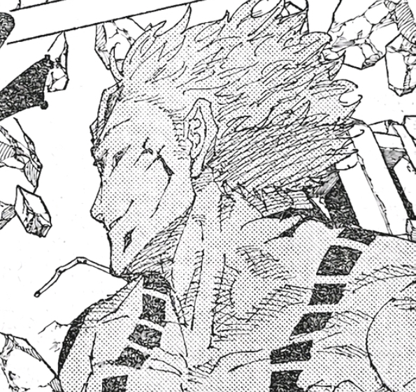 jjxx好像不喜欢画宿傩真身的左脸，基本能不画就不画 NGA玩家社区