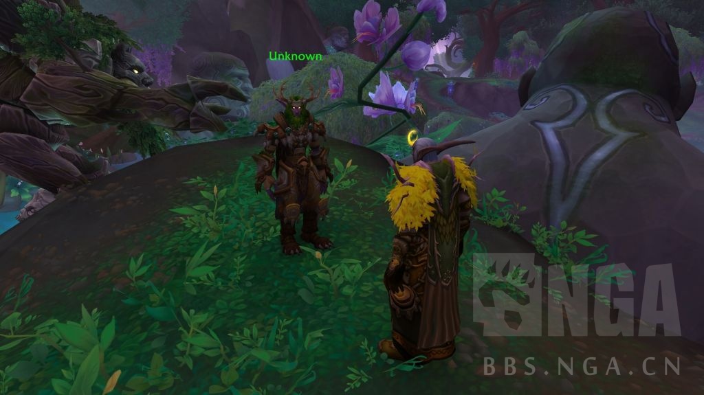 [PTR] 10.2.5暗夜精灵的新家-贝拉梅斯 NGA玩家社区