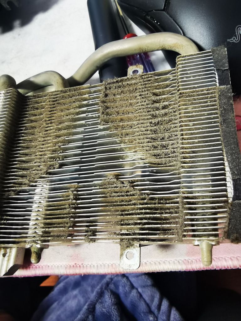 好久没有见到成色这么完美的gtx970二手显卡了 NGA玩家社区