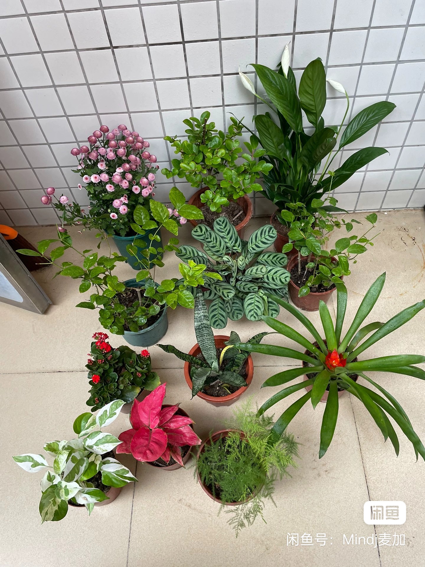 出1070涡轮卡，降价550 NGA玩家社区