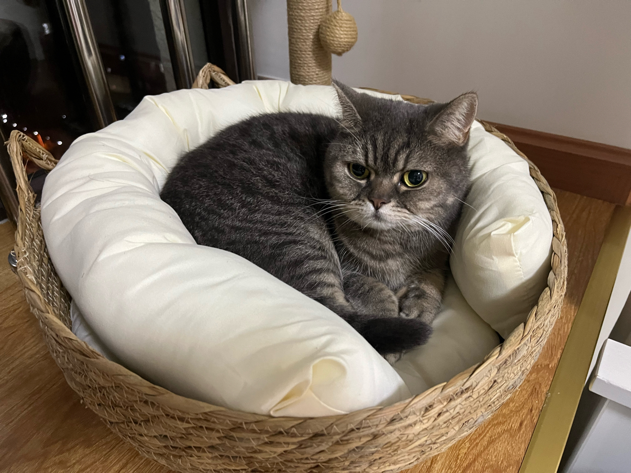 [国际赛事]其实the shy就是决赛送了大的…… NGA玩家社区