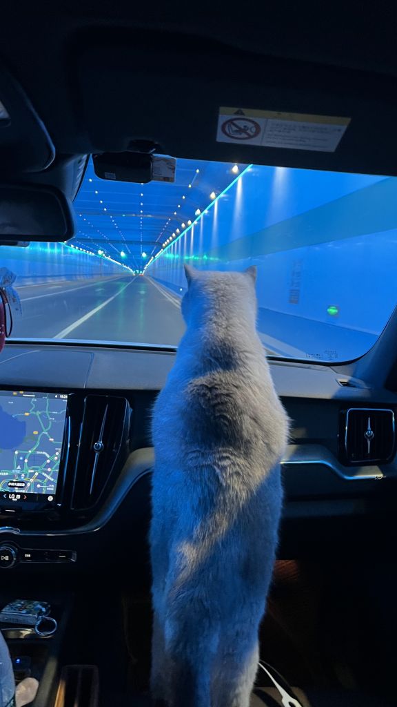 沃尔沃xc60 s90 奥迪q5l怎么选啊 NGA玩家社区