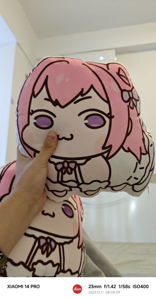 有没有澎湃OS用户，我小米14p玩nikke疯狂闪退 NGA玩家社区