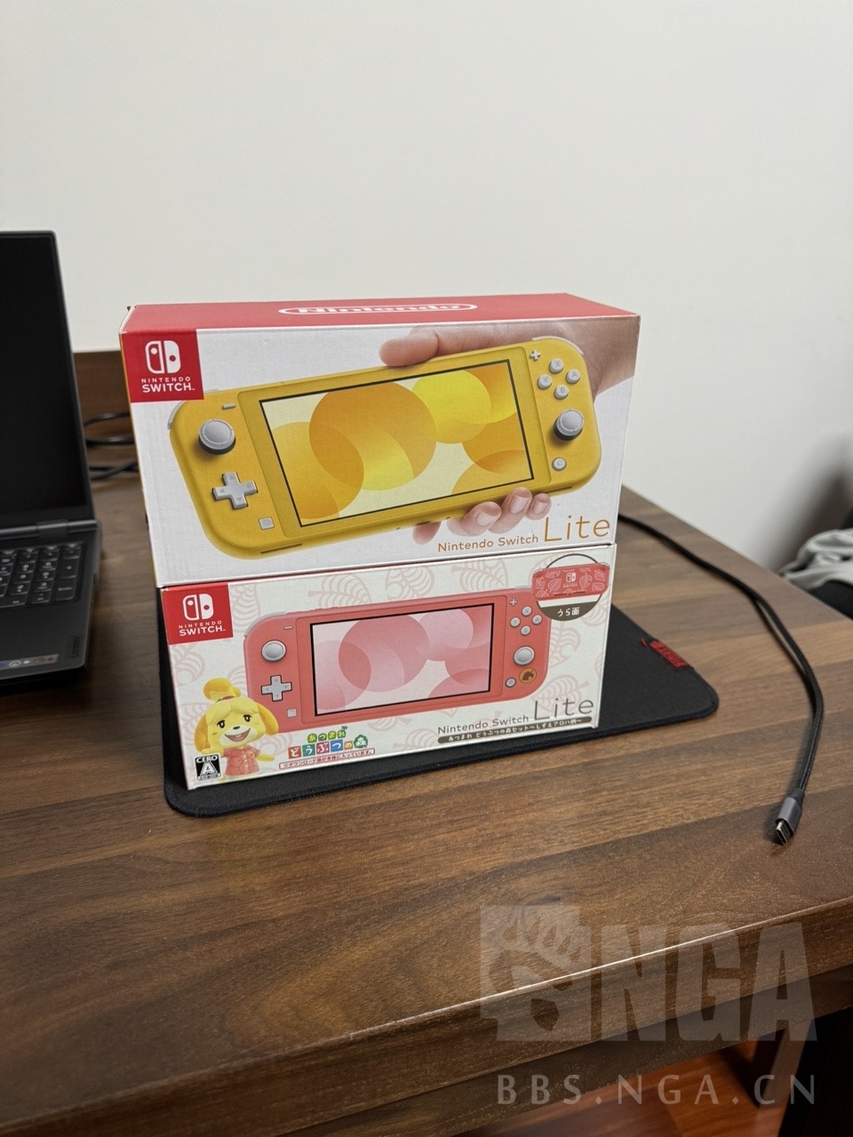 [电视游戏主机/掌机] 出两台全新日版Switch Lite 178
