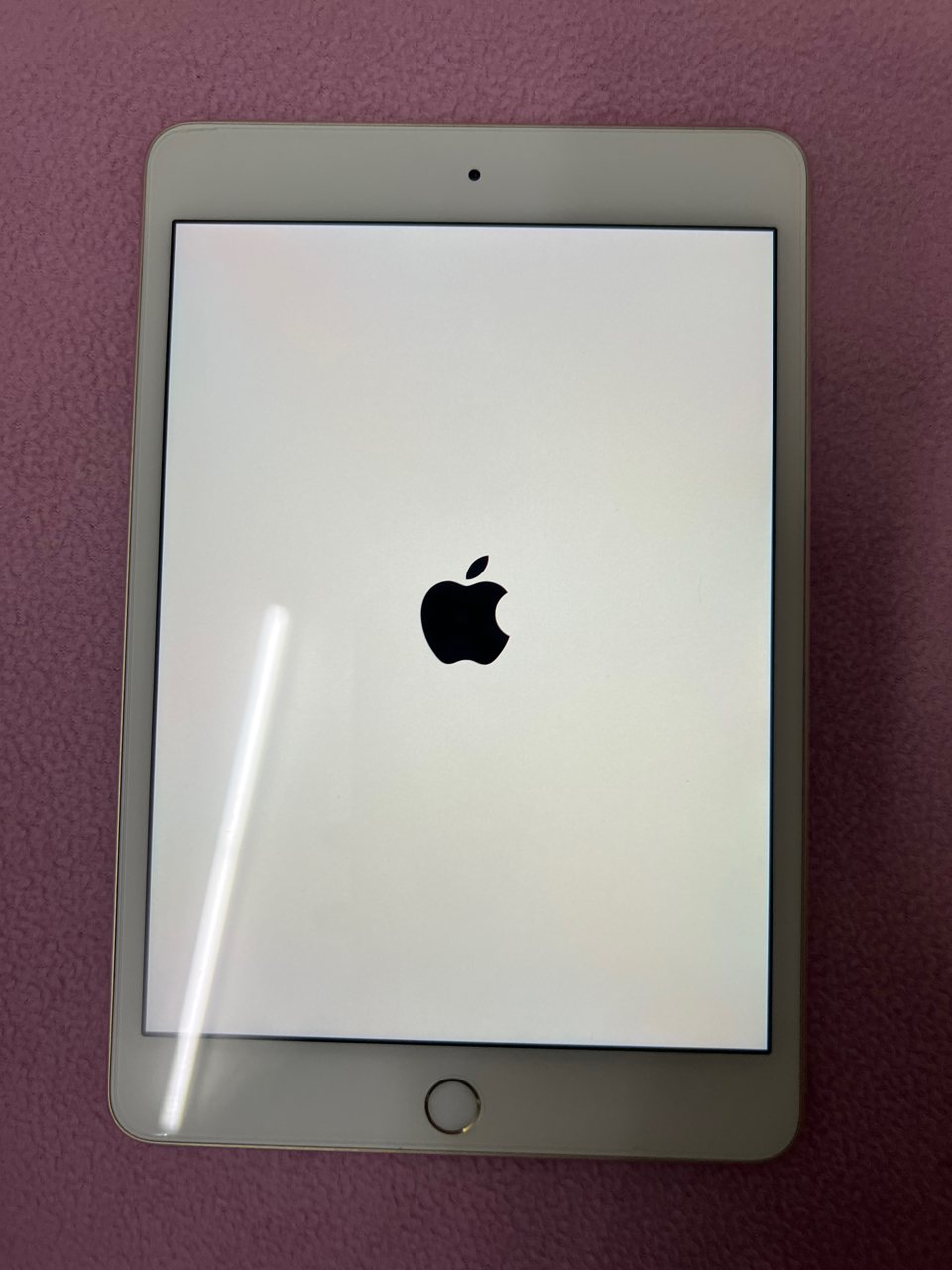 (询价贴)iPad mini 4金色 128g NGA玩家社区