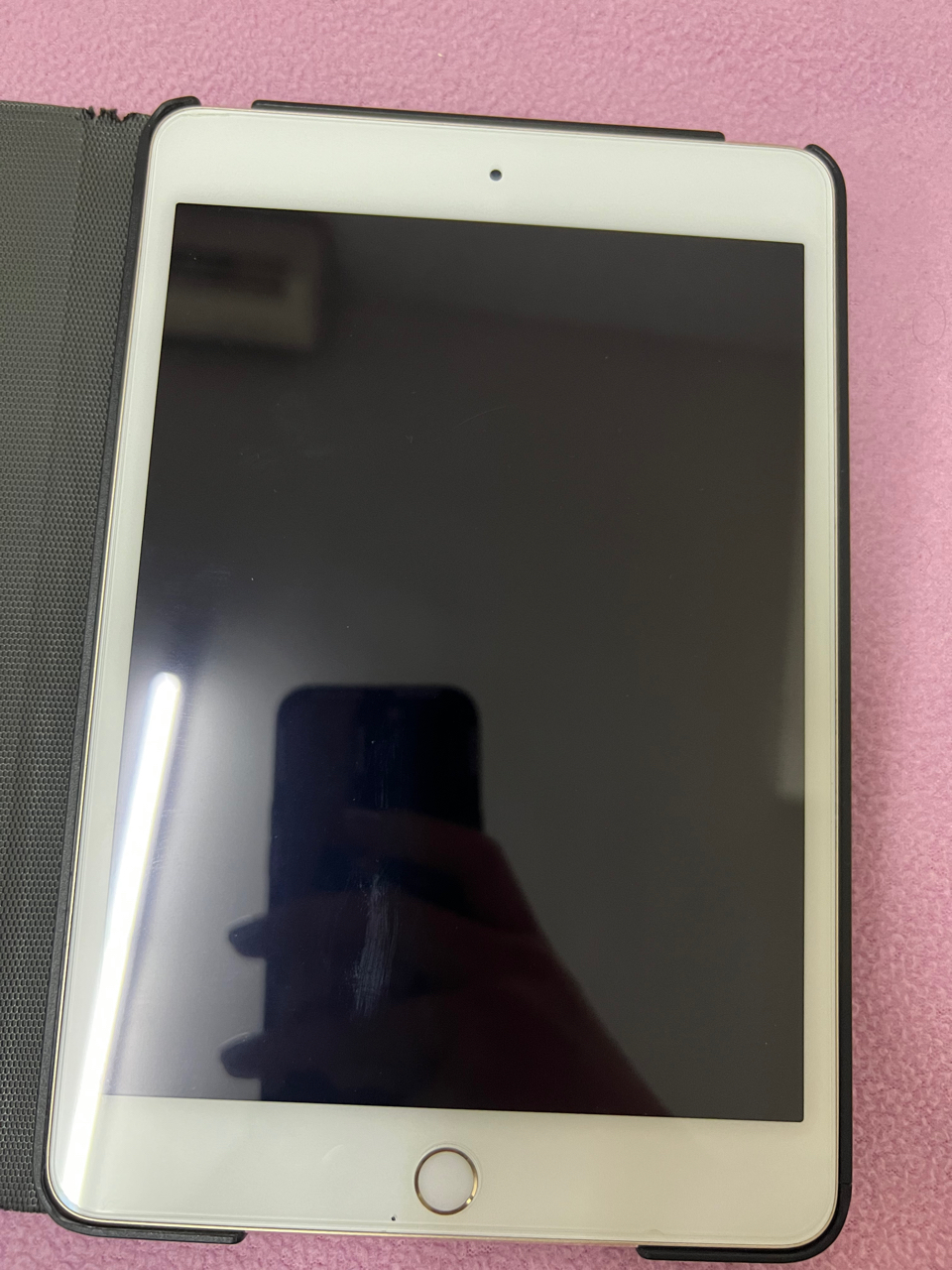 (询价贴)iPad mini 4金色 128g NGA玩家社区