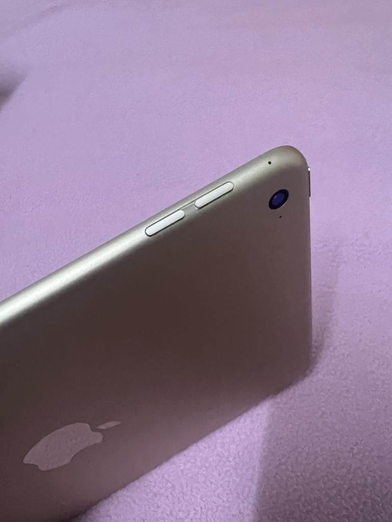 (询价贴)iPad mini 4金色 128g NGA玩家社区