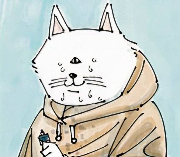 咒术回战25卷附录：虎杖、宿傩和jjxx NGA玩家社区