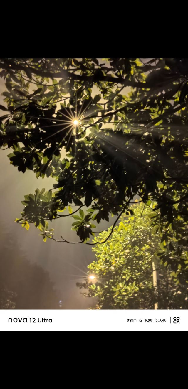 想不到nova也有压Mate一头的时候啊…… NGA玩家社区