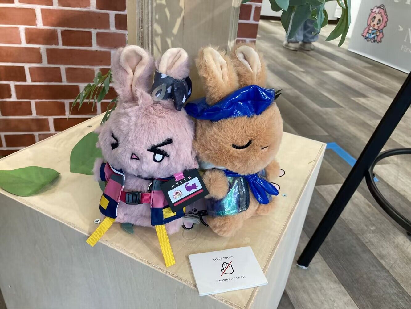 [闲谈交流] 有博士今天来namie老师的画展吗(逛完了！迟到的repo) 178