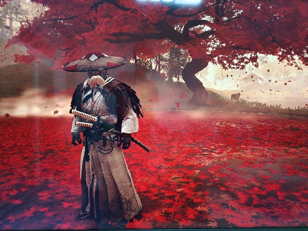 [不懂就问] 对马岛怎么这么暗 NGA玩家社区