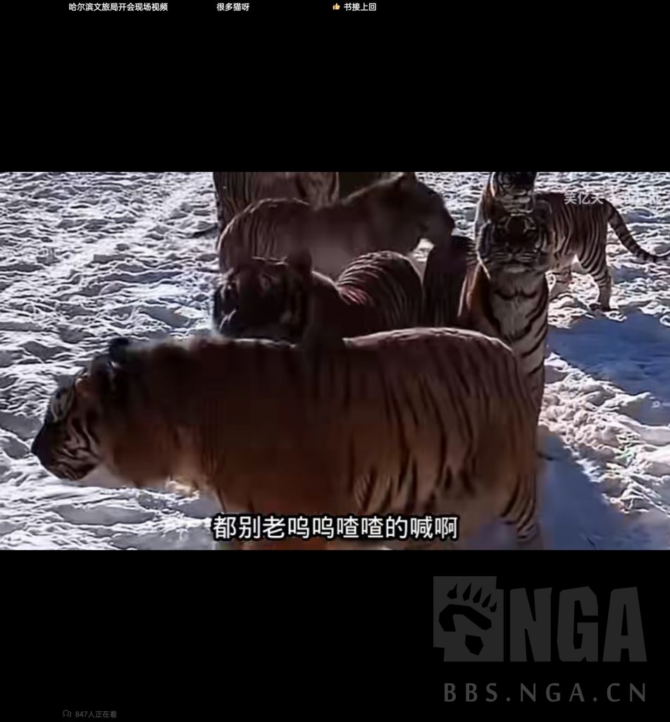 find n3如何？？ NGA玩家社区