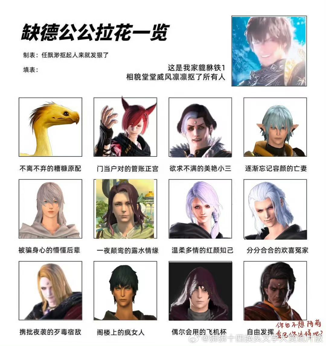 [举手提问]求一张表情，是现任是搭档，还有什么前任亡夫之类的一长串光呆与NPC的关系 NGA玩家社区