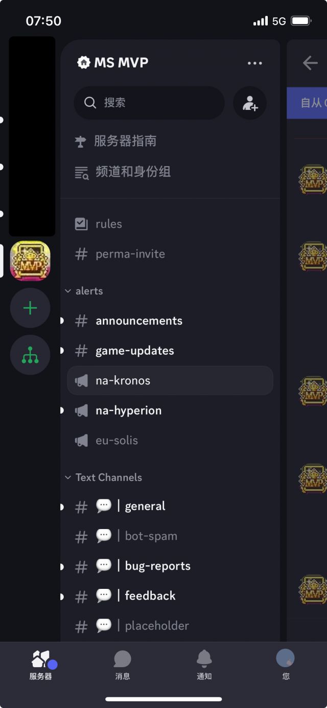 [国际服]有个discord的mvp群，有兴趣的可以去看看 178